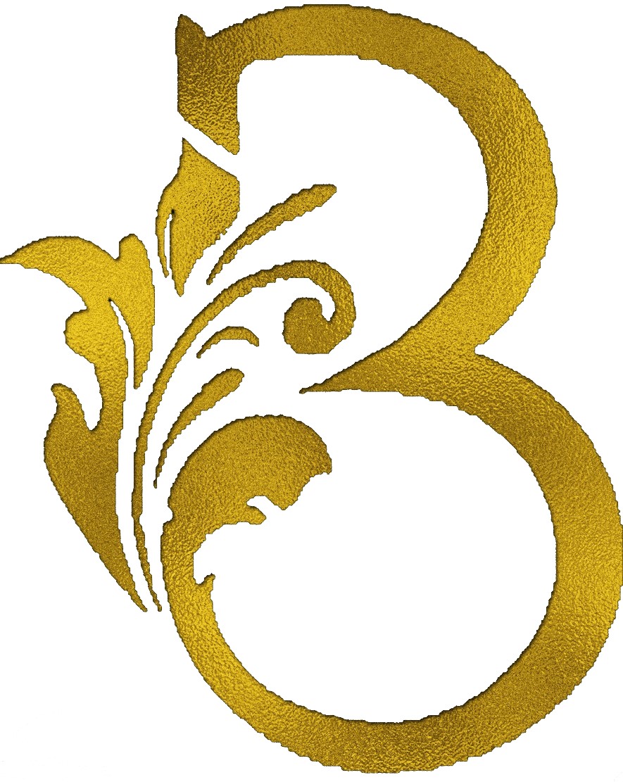 logo without background (2)